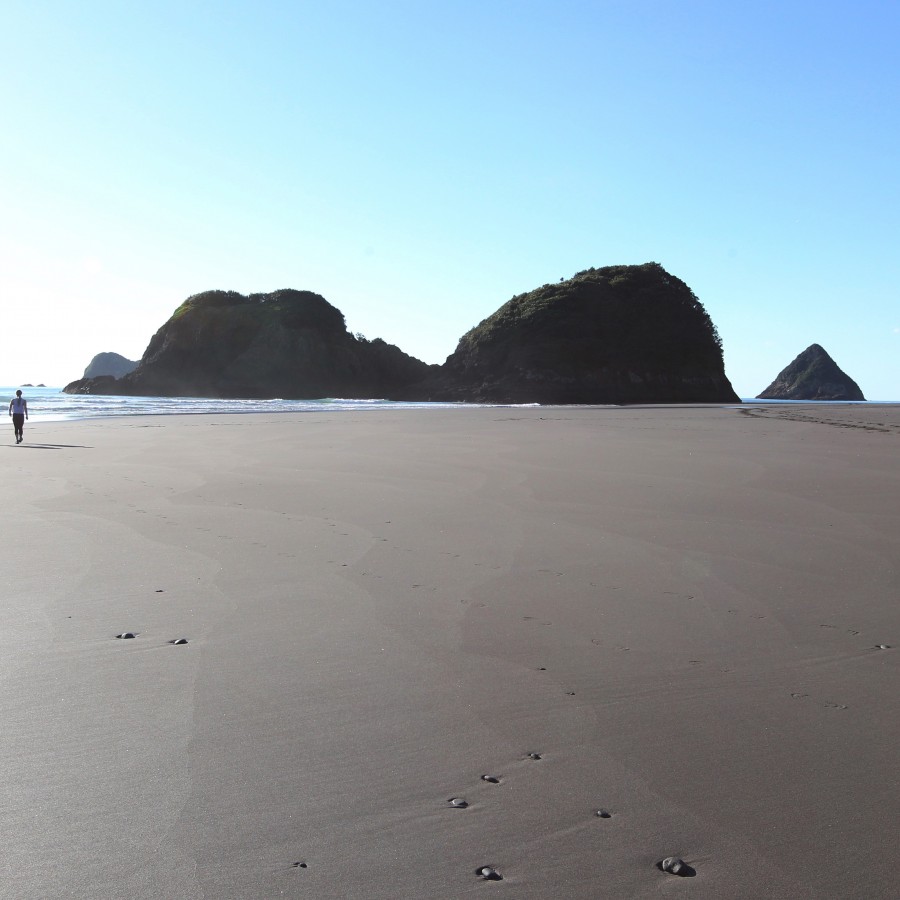 Back Beach » Taranaki, New Zealand
